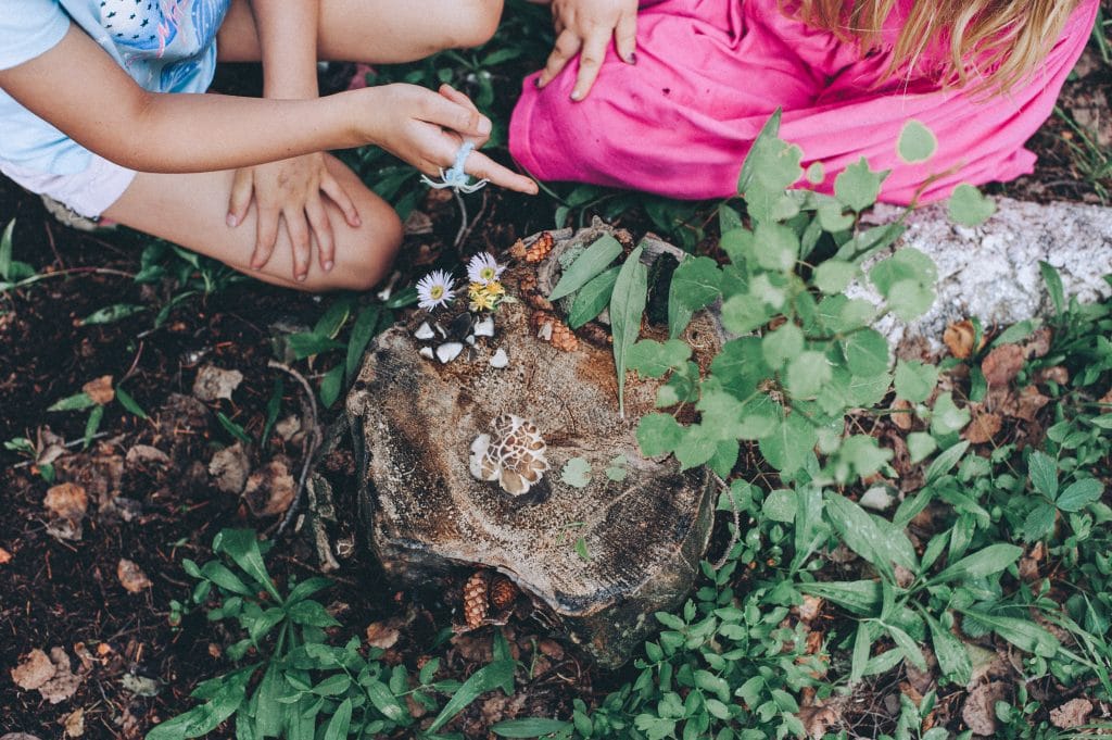 Building Bug Homes - Sprouting Wild Ones