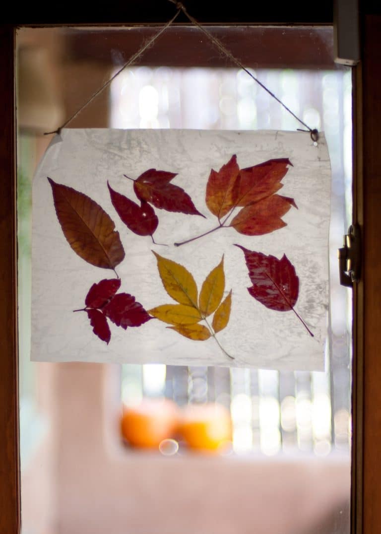 Autumn Stained Glass - Sprouting Wild Ones