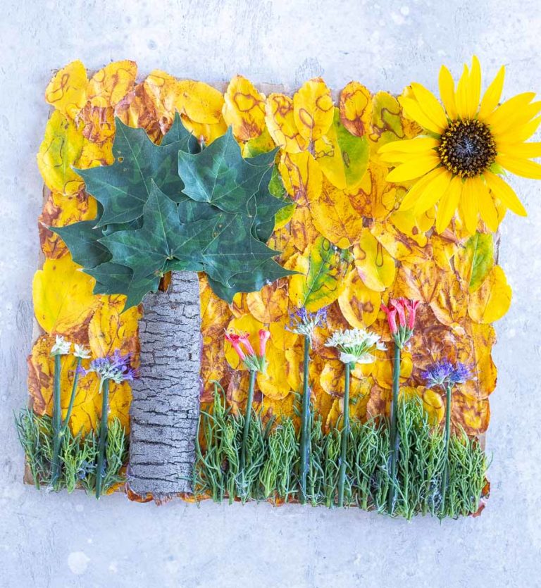 Nature Portraits - Sprouting Wild Ones