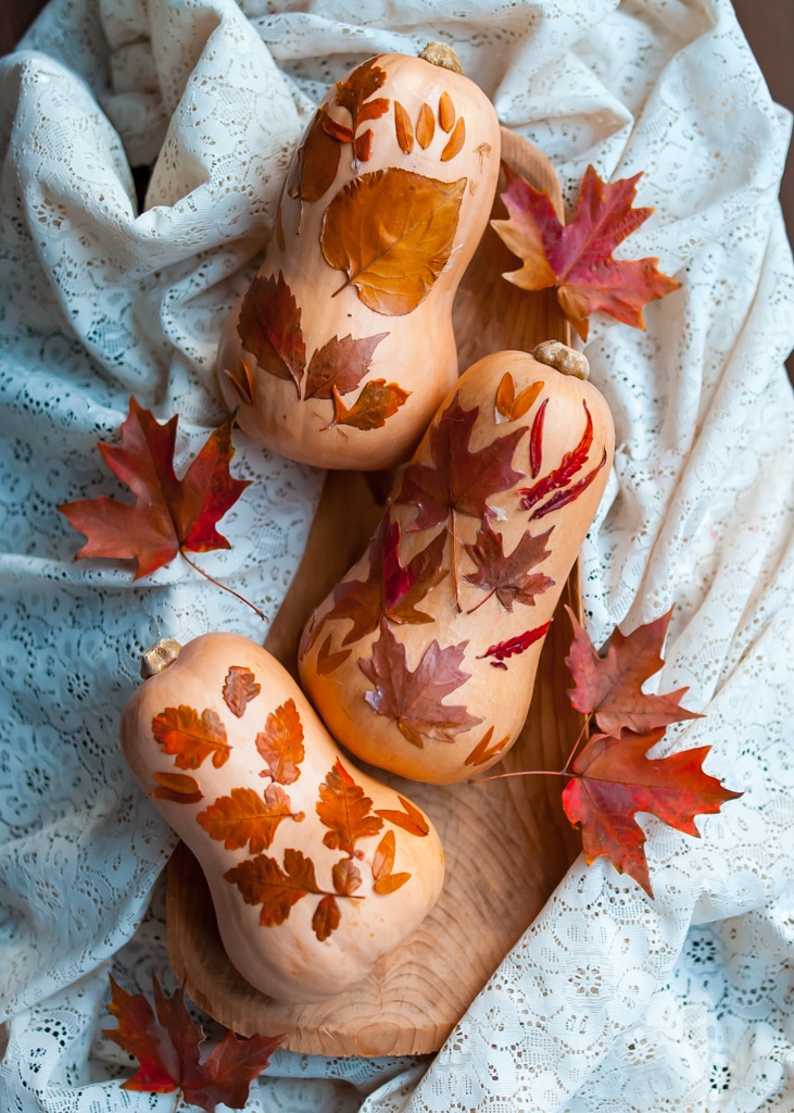 Fall Leaf Squashes - Sprouting Wild Ones