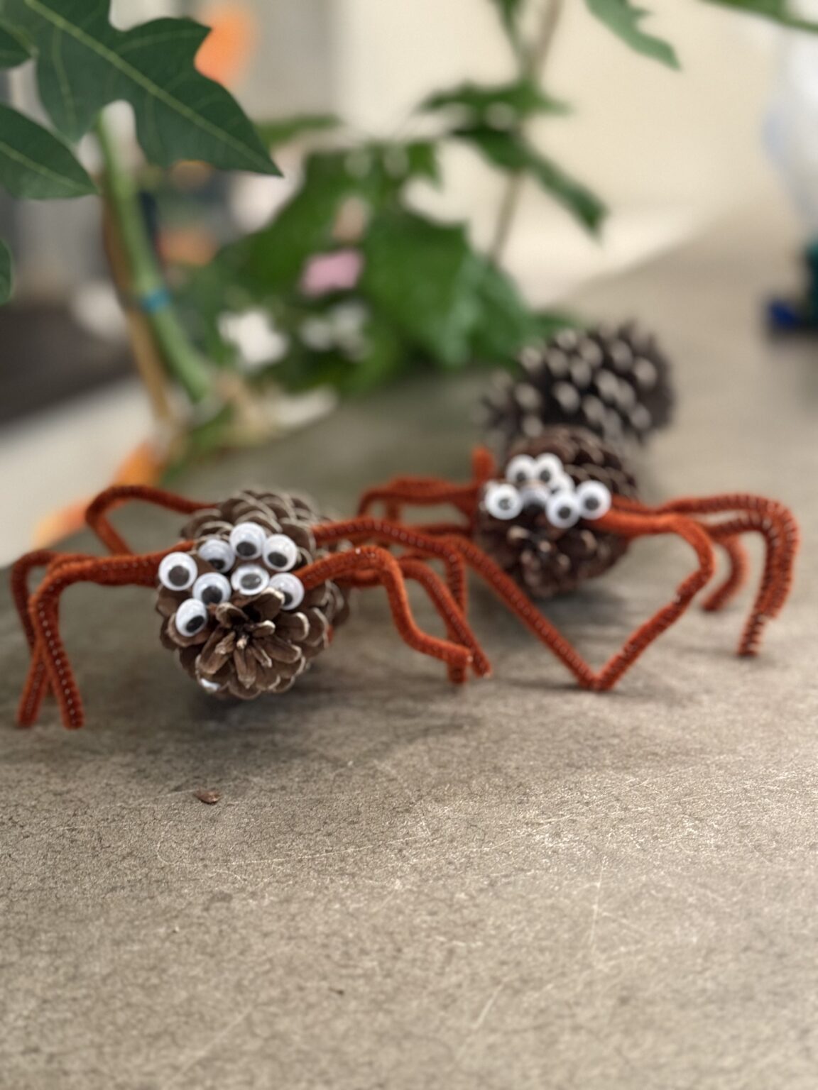 Easy Pine Cone Spider Craft for Kids - Sprouting Wild Ones