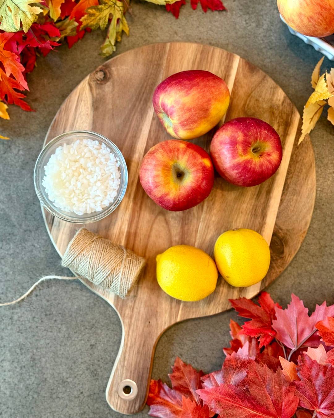 How to make a dried apple garland (the easy way) - Sprouting Wild Ones